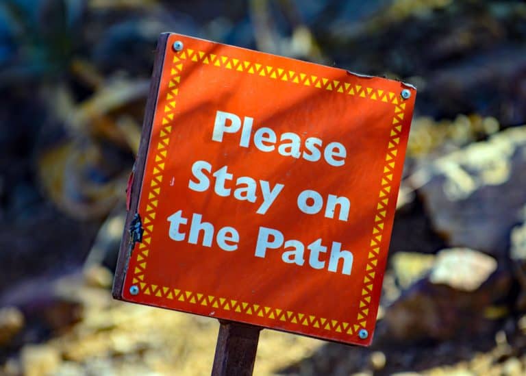 7 Common Rituals in Buddhism - Buddhism Info